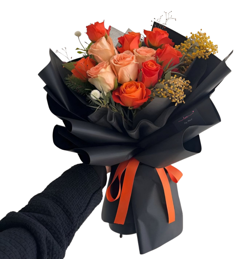 Black bookey png image | Pngmark